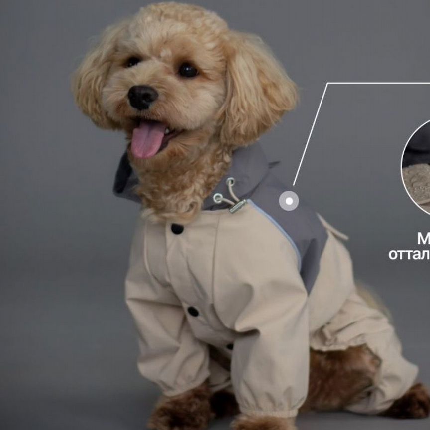 Комбинезон для собаки