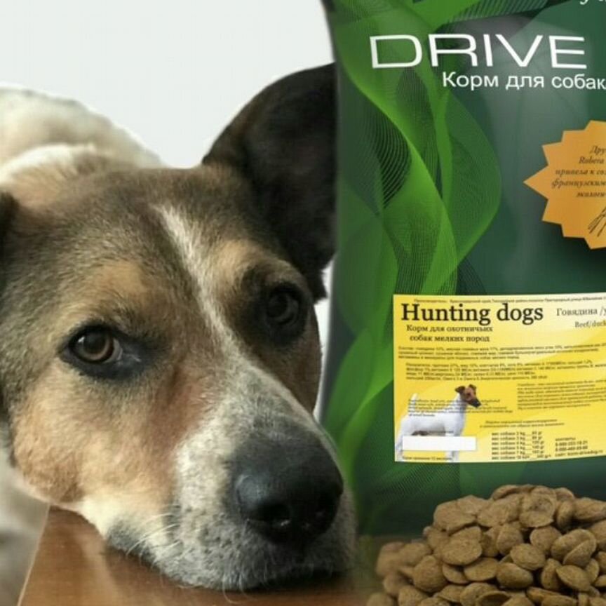 Корм для собак супер премиум
