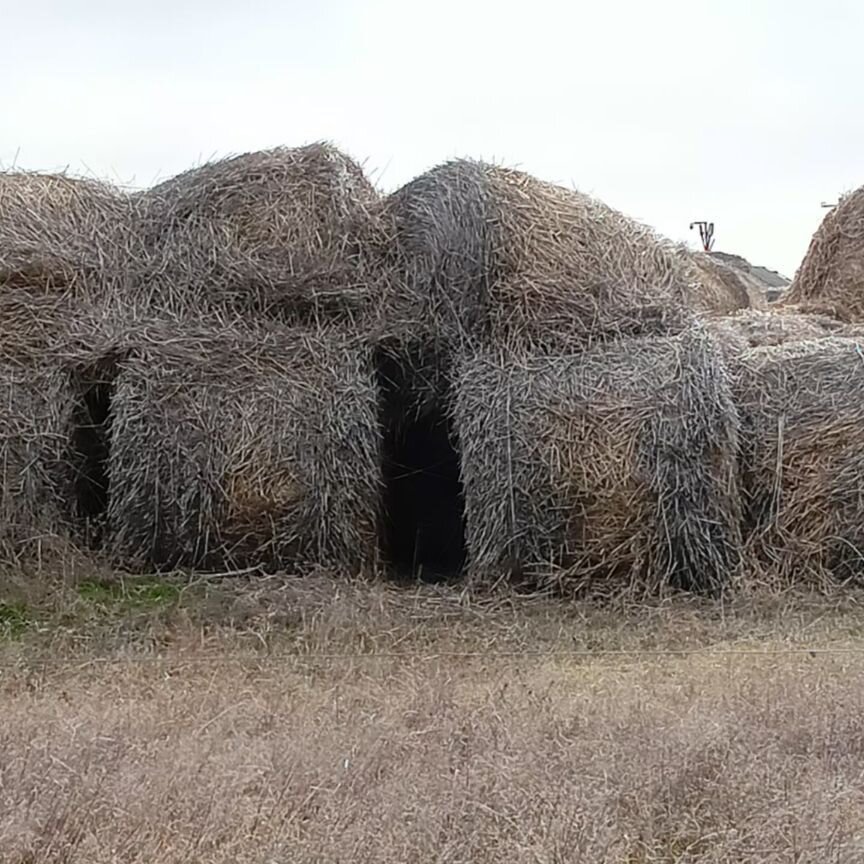 Солома на продажу