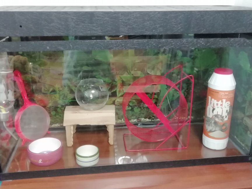 Клетка-аквариум/террариум для песчанок