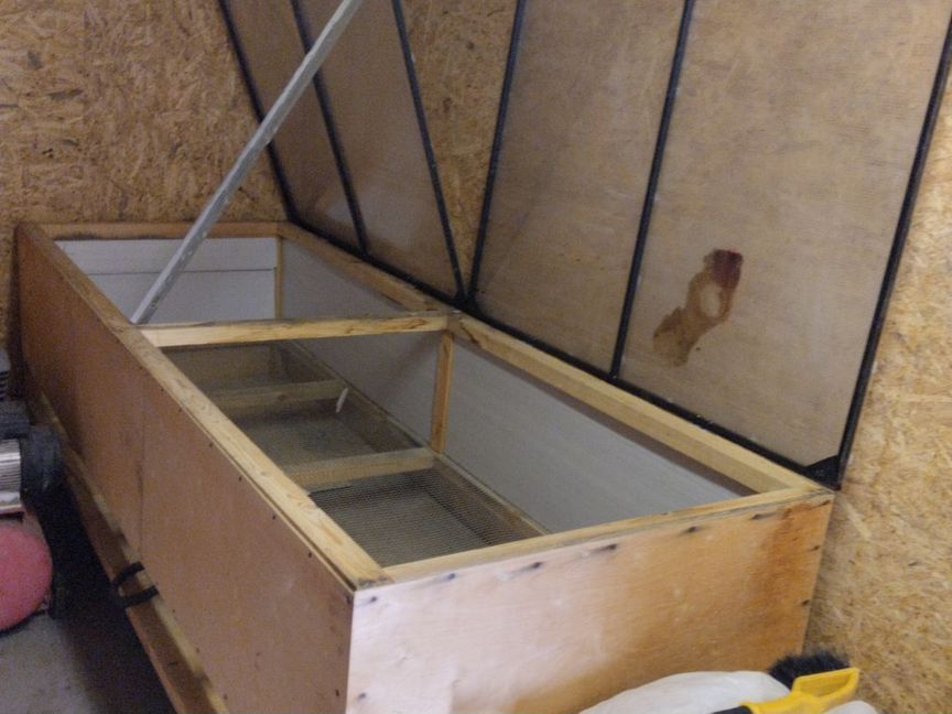 Брудер для цыплят