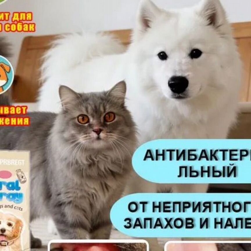 Спрей для полости рта для собак, кошек