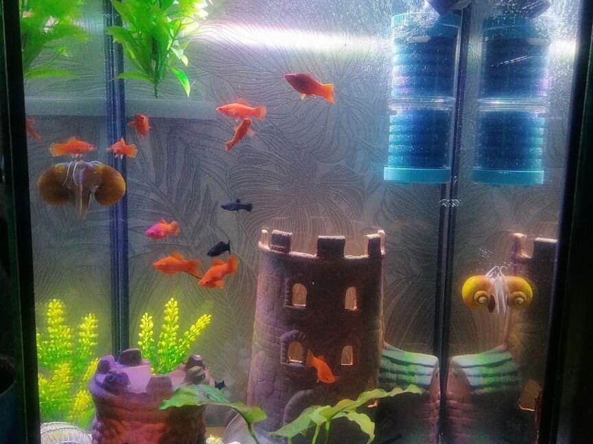 Продам аквариум