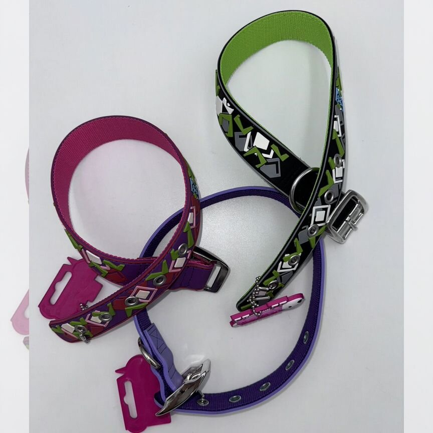 Ошейник и поводок для собаки ForMyDogs