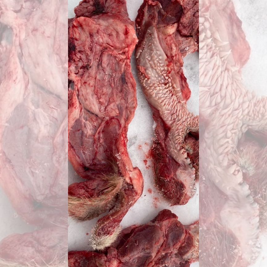 Мясо для собак