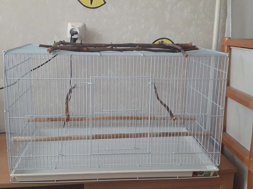 Клетка Triol 504