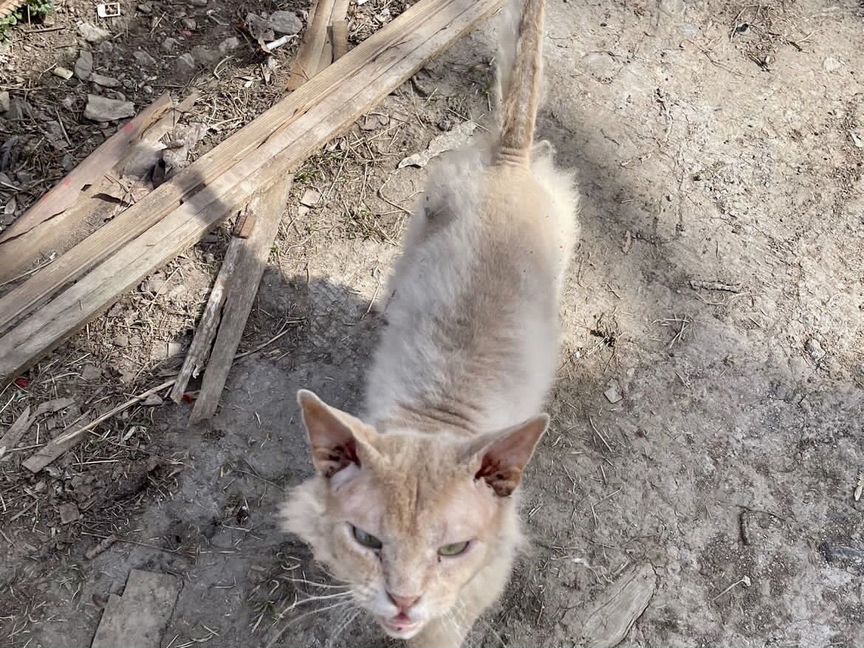 Спасем вместе