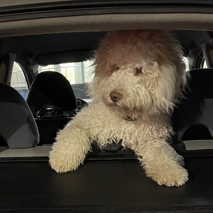 Лаготто Романьоло