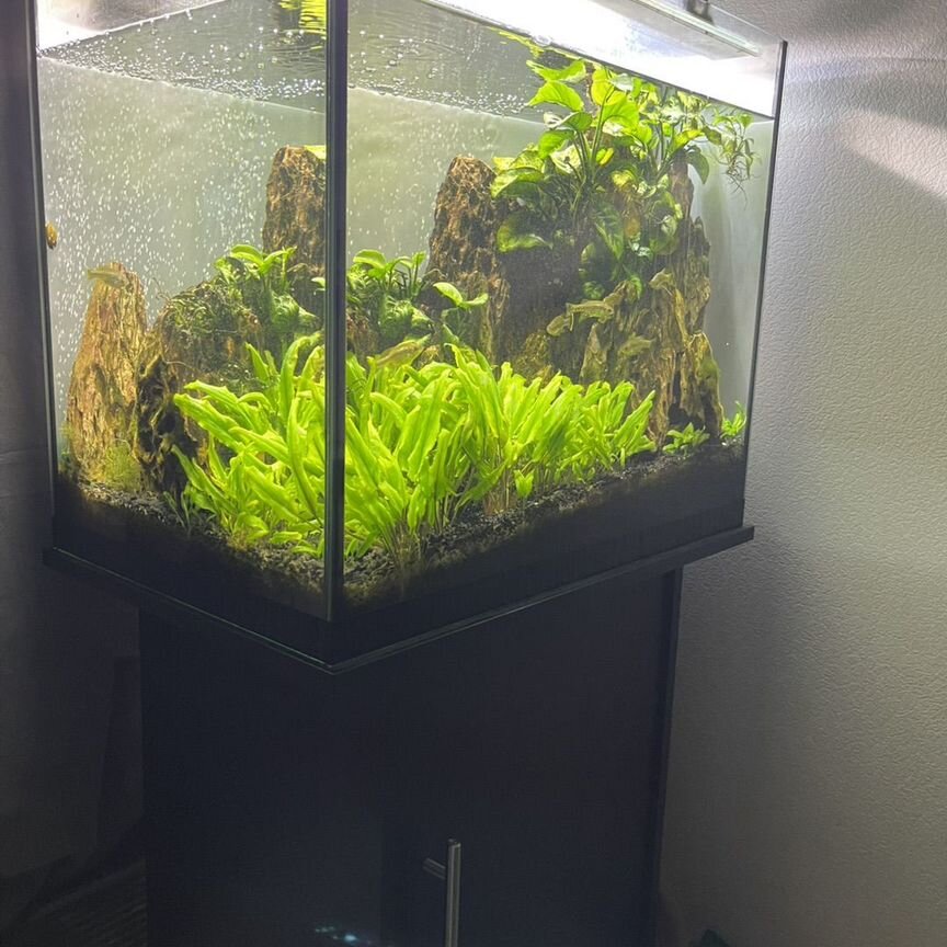 Аквариум с тумбой 140 литров