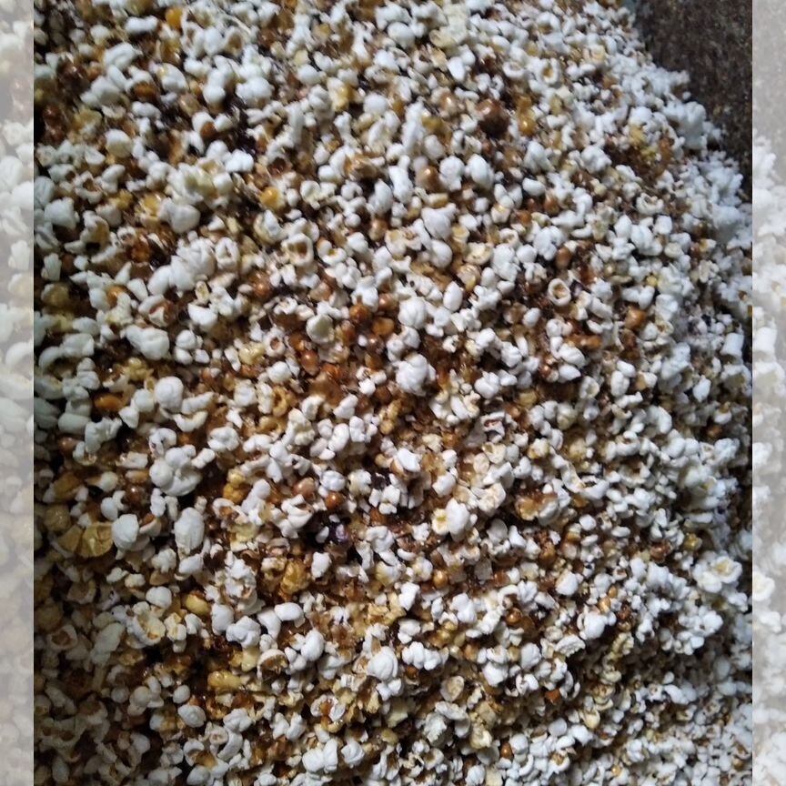 Кукуруза кормовая