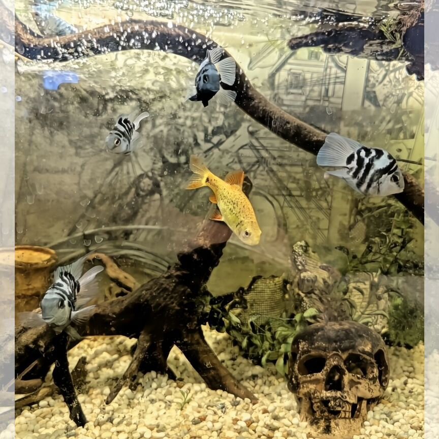 Аквариум 150 л в полной комплектации