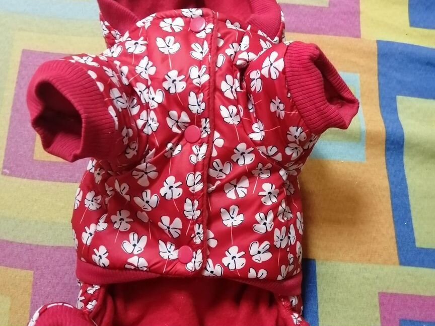 Одежда для маленьких собак s