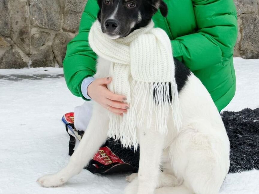 Малыш,10 месяцев