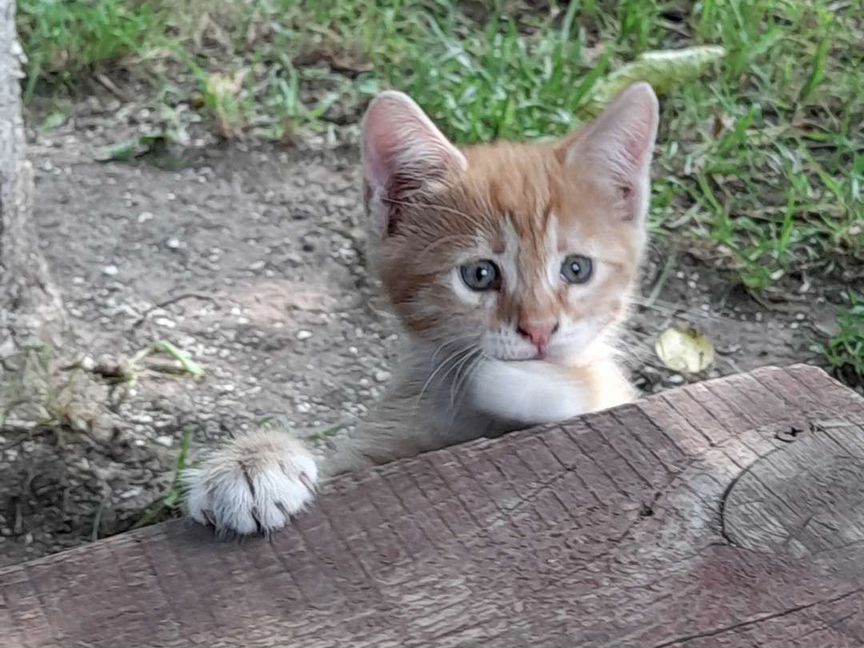 Мама ты где, а вот и я