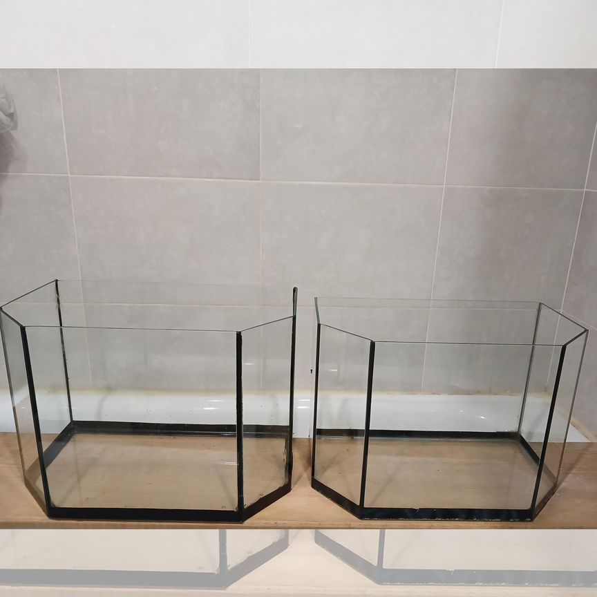 Аквариум понорамный