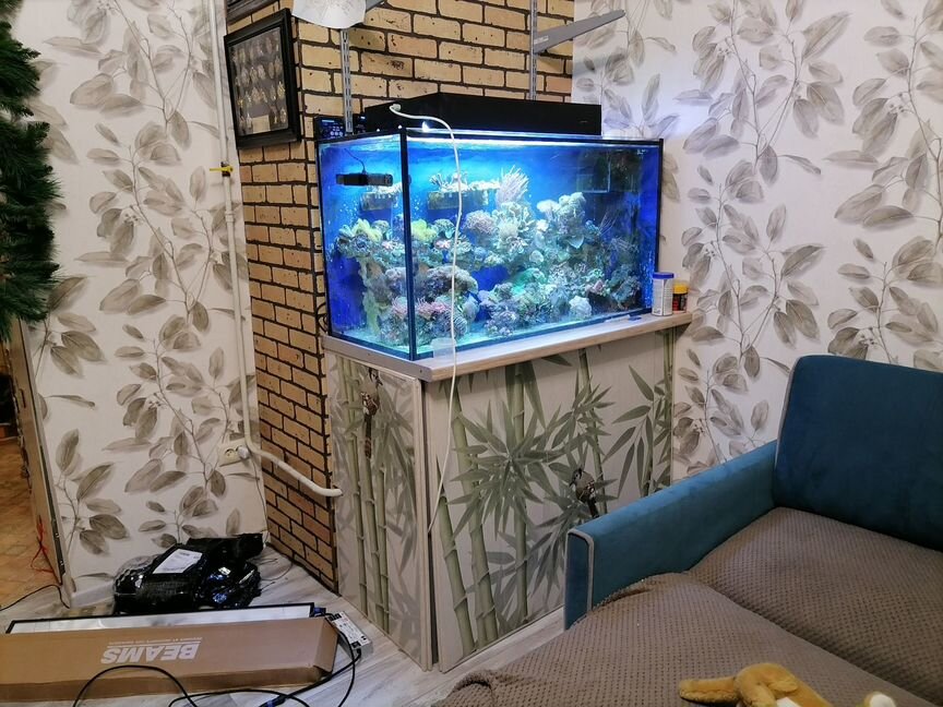 Морской Аквариум