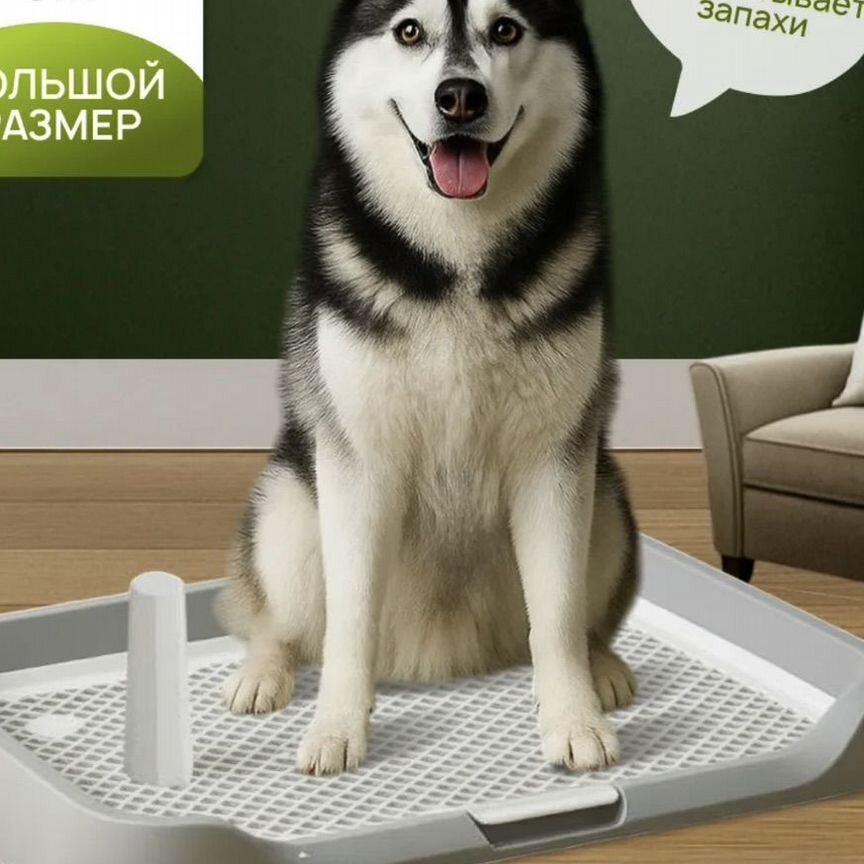 Лоток для собак мелких пород