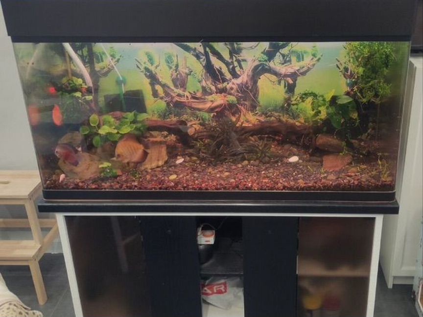 Аквариум с тумбой на 360 литров