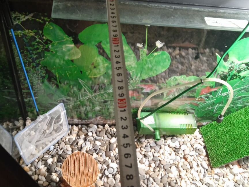 Фильтр для аквариума, сачок, компрессор