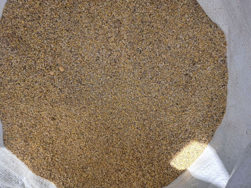 Вика дроблёная