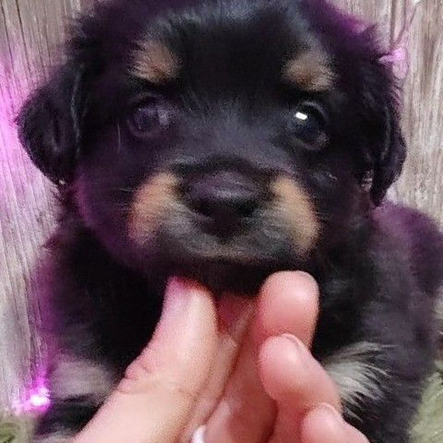 Милый мальчик