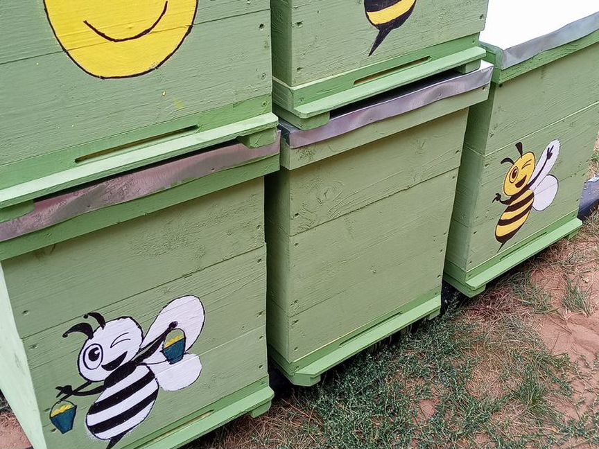 Ульи для пчел