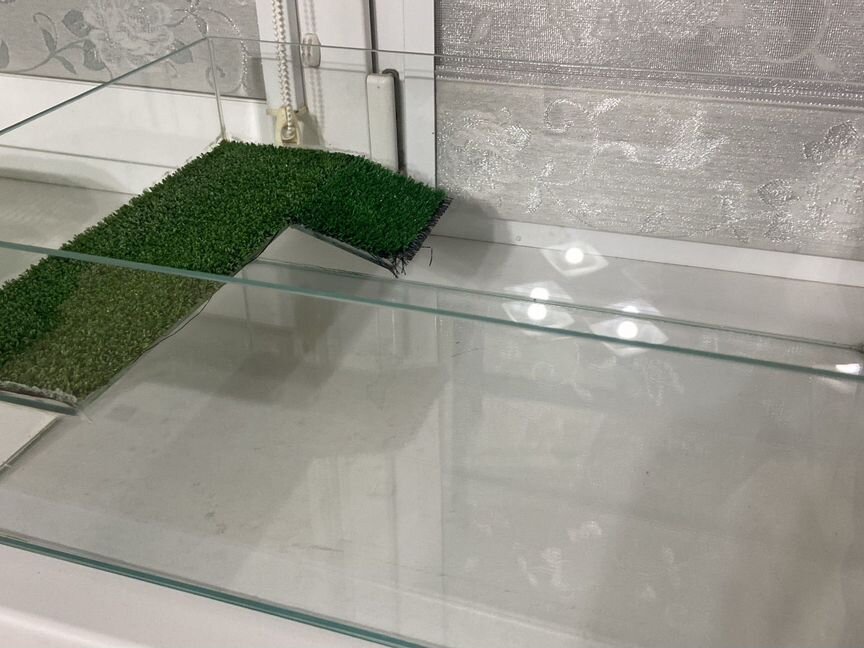 Аквариум, акватеррариум