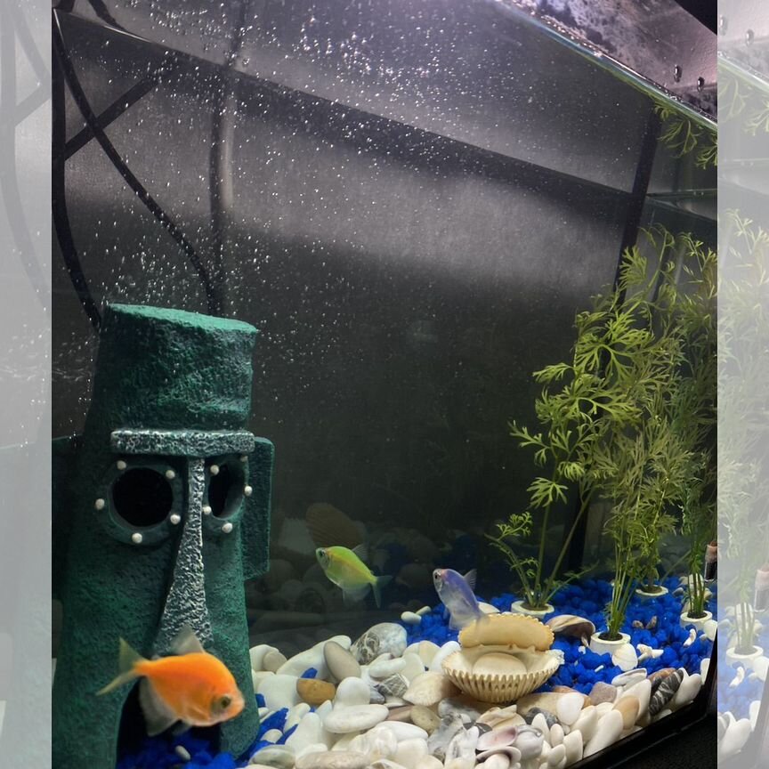 Аквариум 18 литров с рыбками