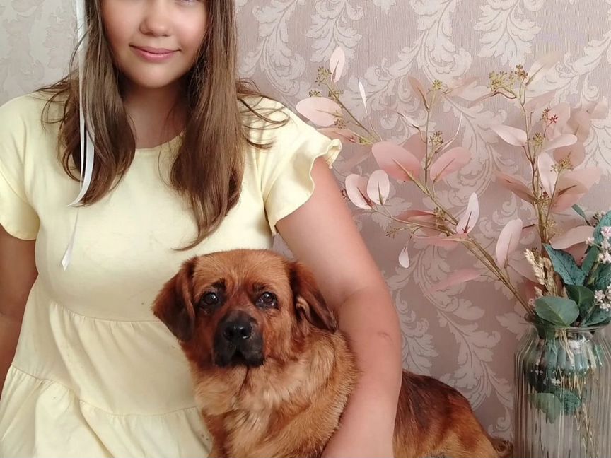 Маленькая собака в добрые руки