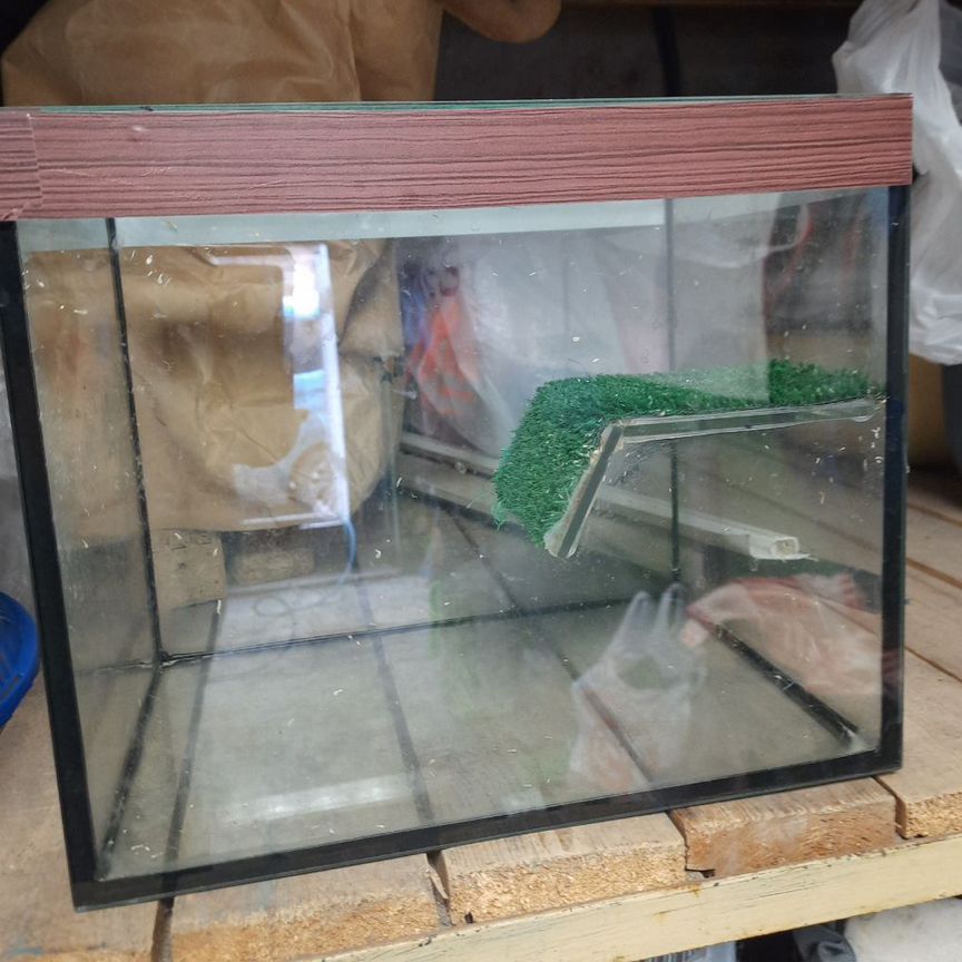Аквариум для красноухой черепахи