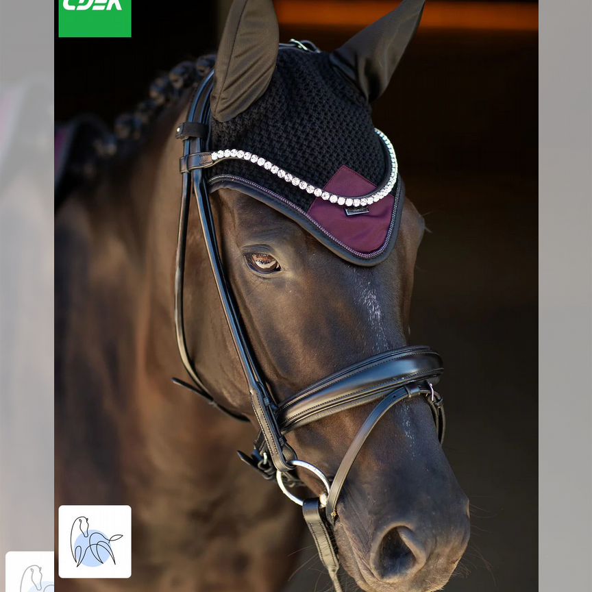 Ушки Modern от Equestrian Stockholm - Черный