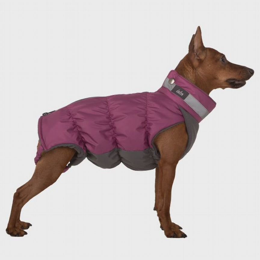 Жилет для собак Laira модель "Крокодил" утепленный