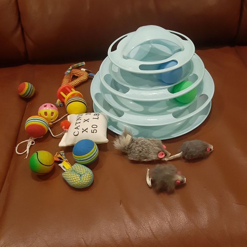 Игрушки для кошек бесплатно