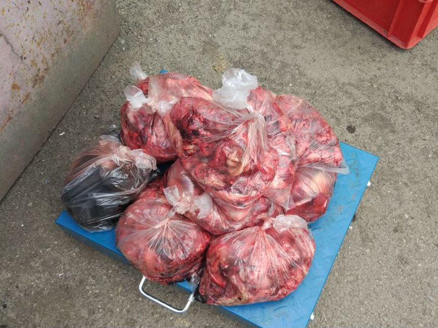 Рубец говяжий,натуральные корма,фарш супр. говяжий