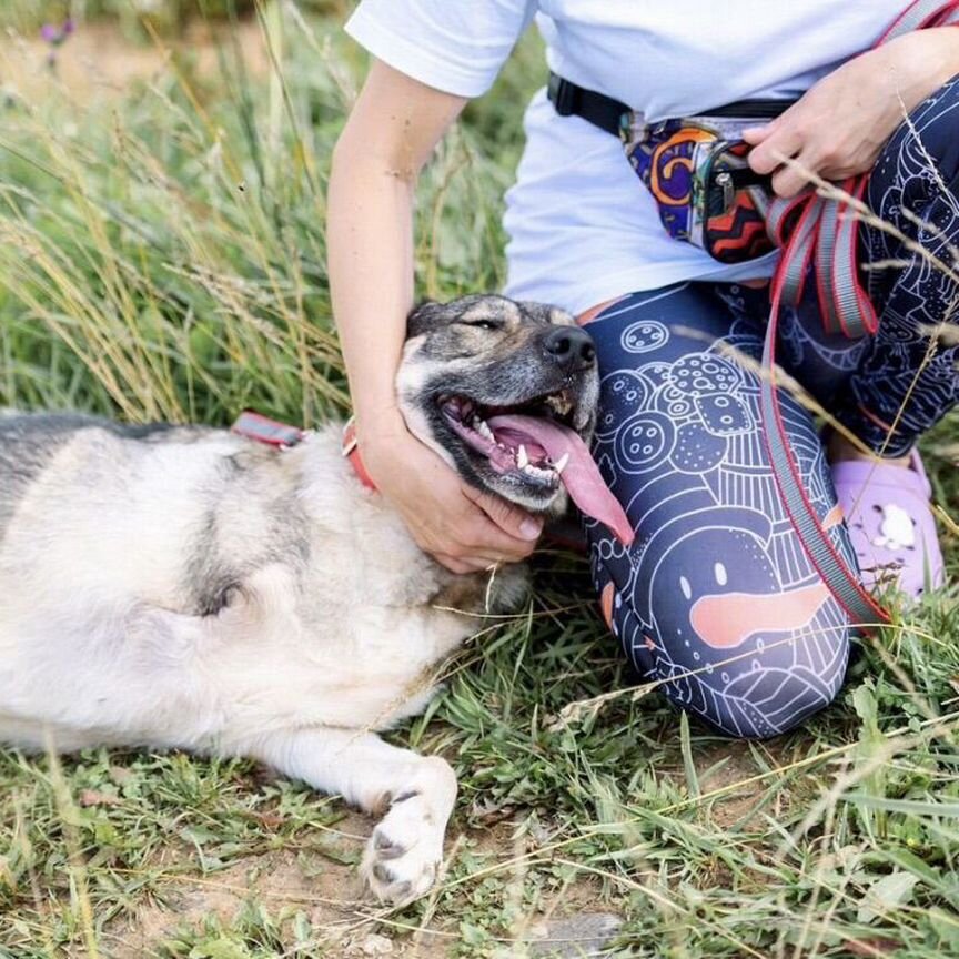 Особенная Лиза в добрые руки