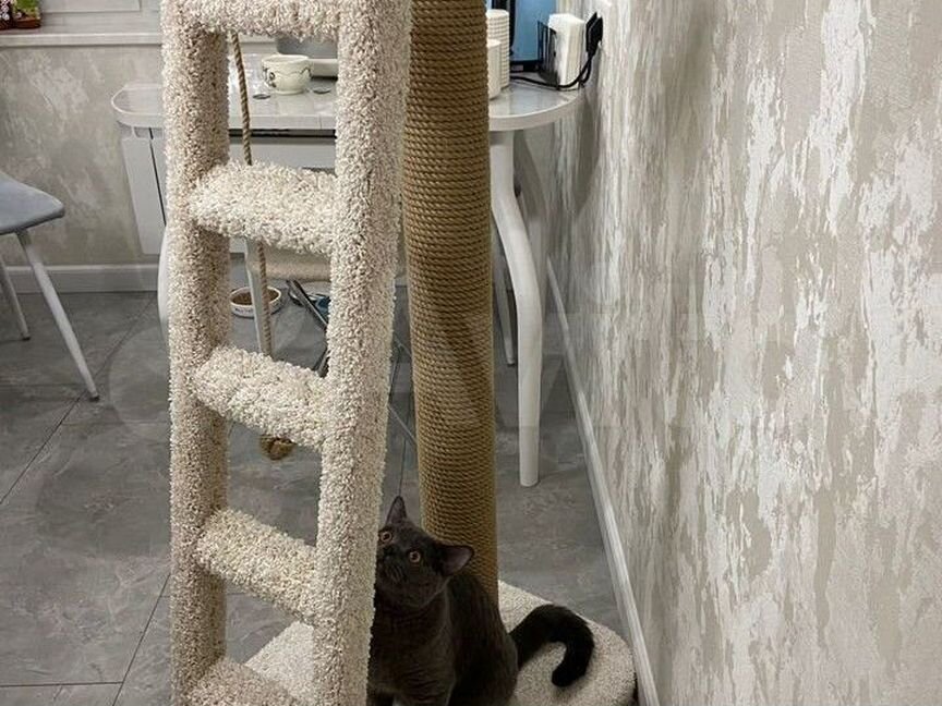 Когтеточка для кошек