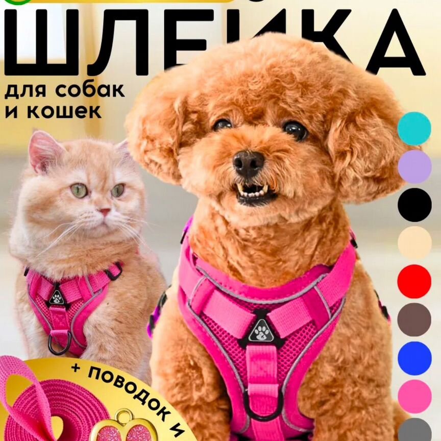 Шлейка для маленьких собак и кошек s
