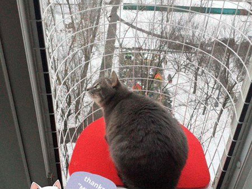 Антикошка Балкон для кошек