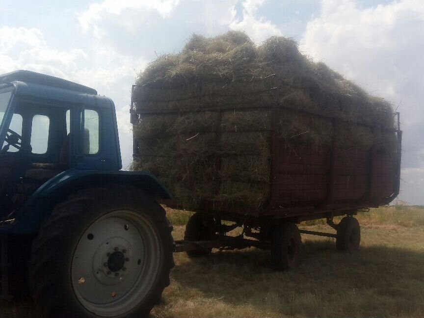 Сено степное