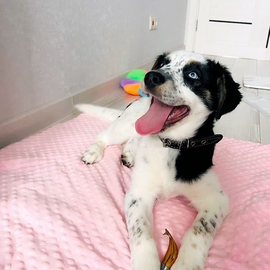 Девочка в самые любящие ручки