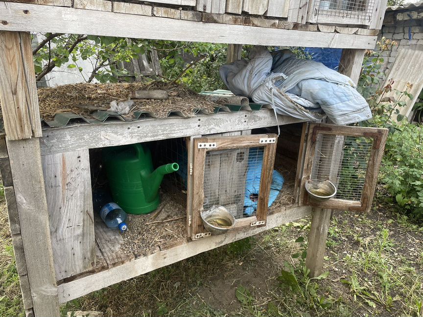 Клетки для кроликов бу