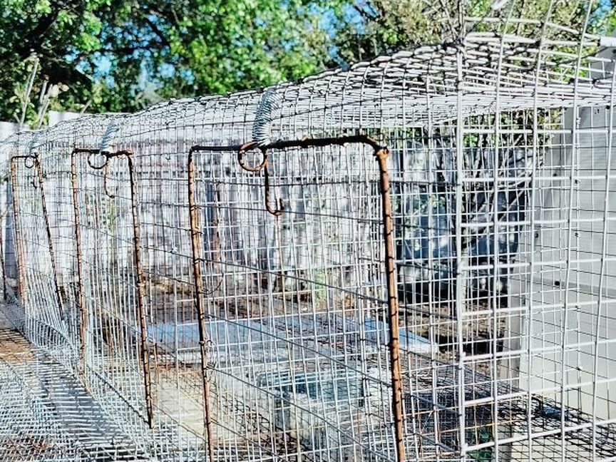 Крольчатник