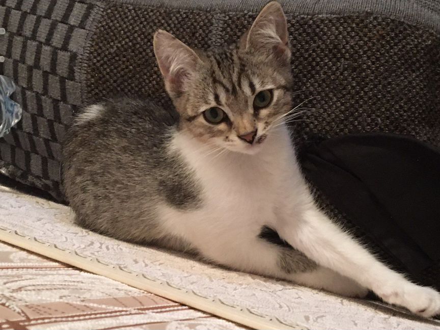 Славая Лизонька в дар