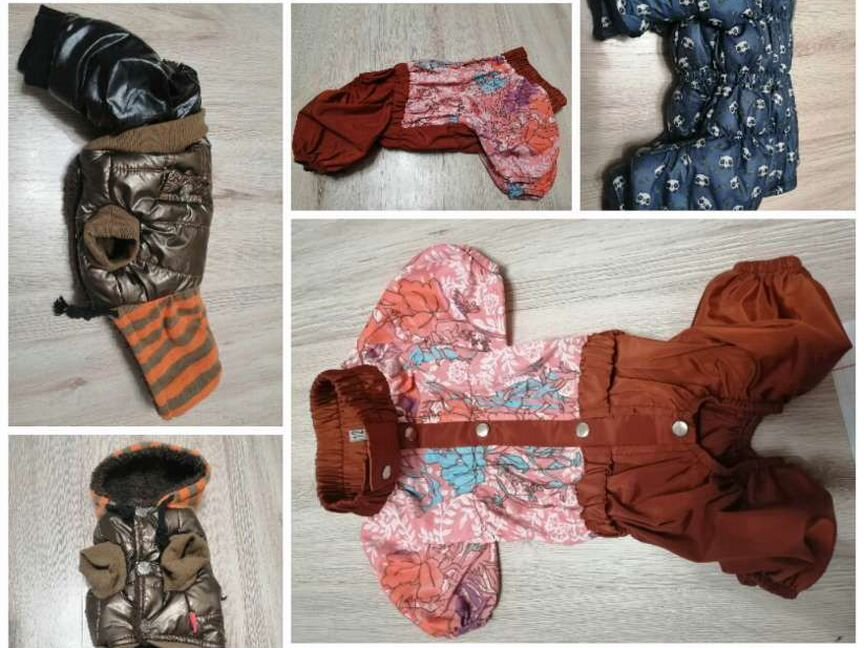 Одежда для маленьких собак