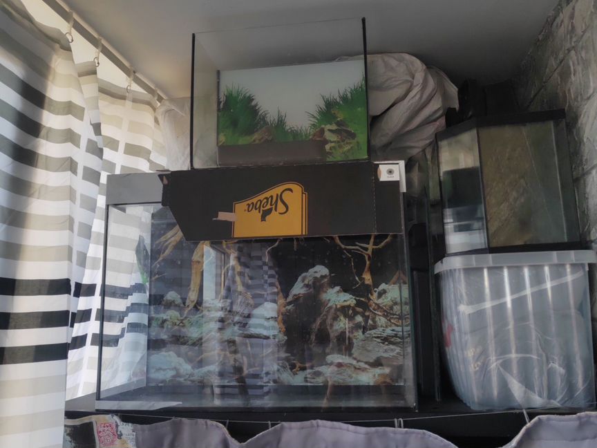 Аквариум продам