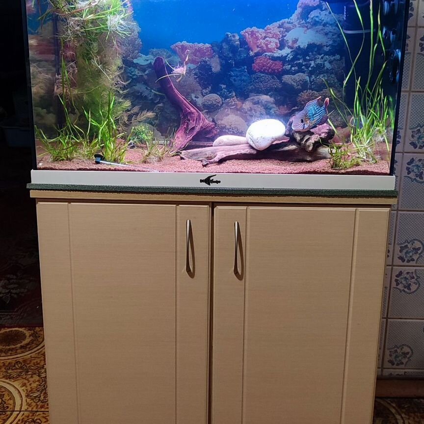 Аквариум Биодизайн с тумбой