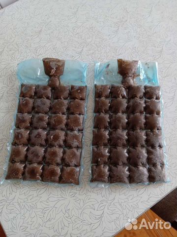 Циклоп красный