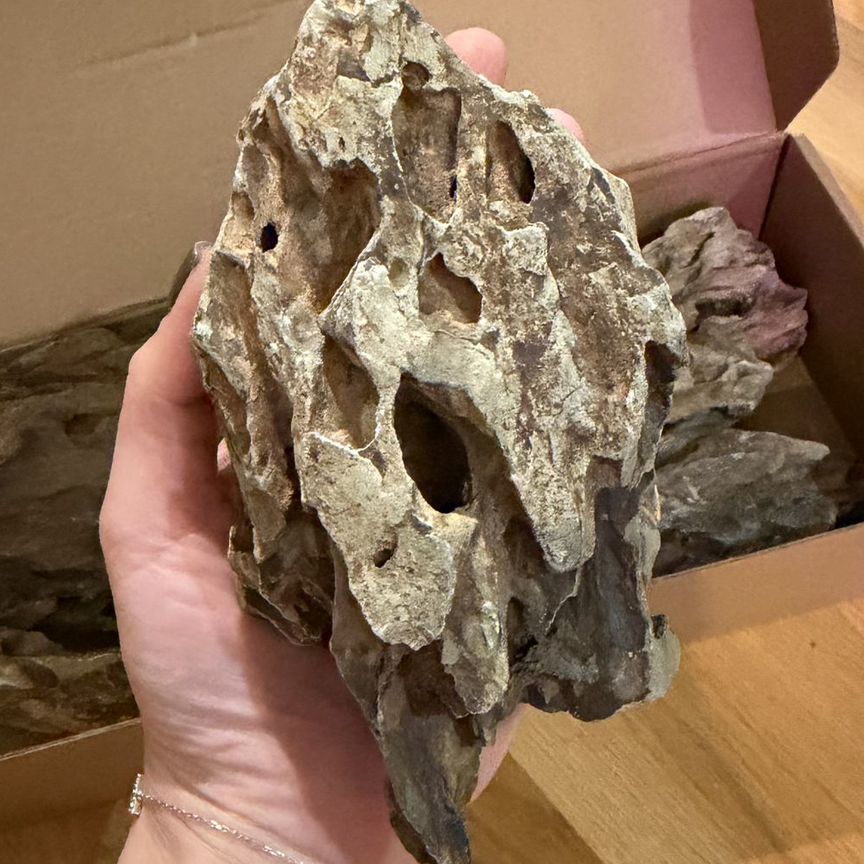 Драконий камень