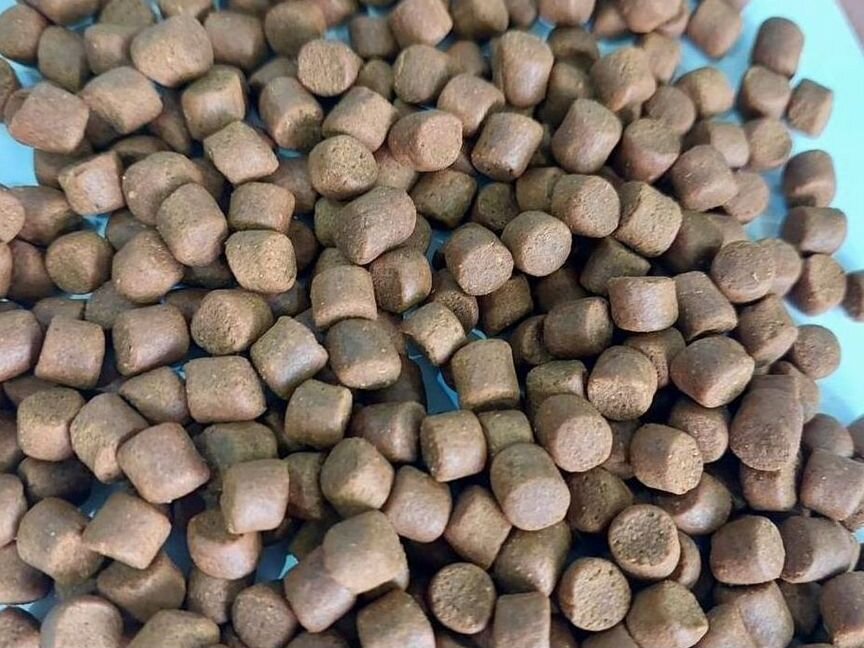 Корм для карпа