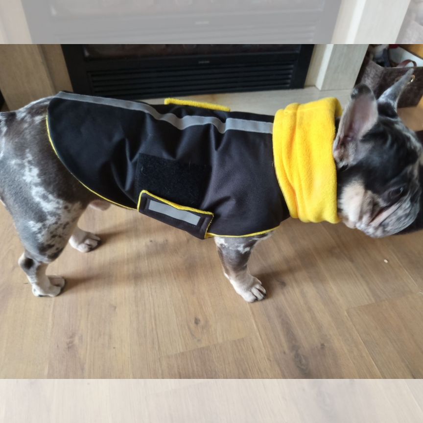 Одежда для собак средних пород